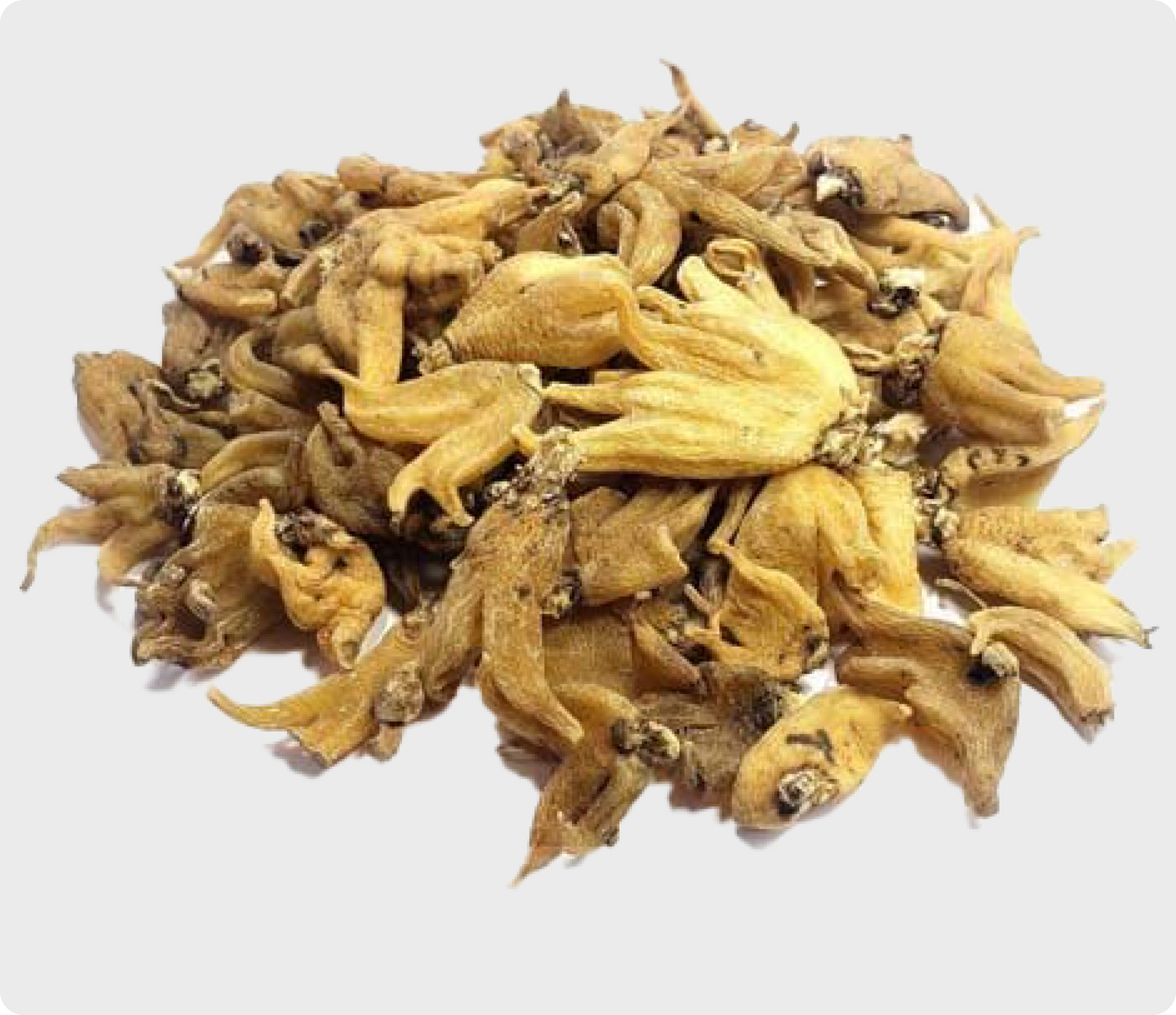 Sperm Plus Tablets | Male Infertility Medicine – Well Life Store